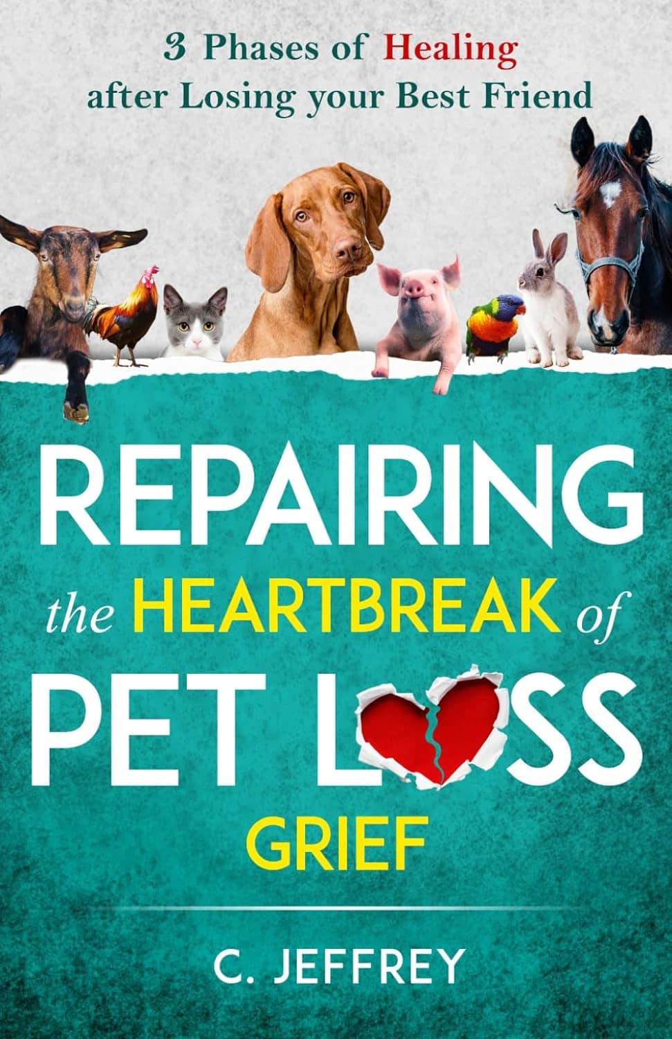 Repairing the Heartbreak of Pet Loss Grief: 3 Phases of Healing after ...