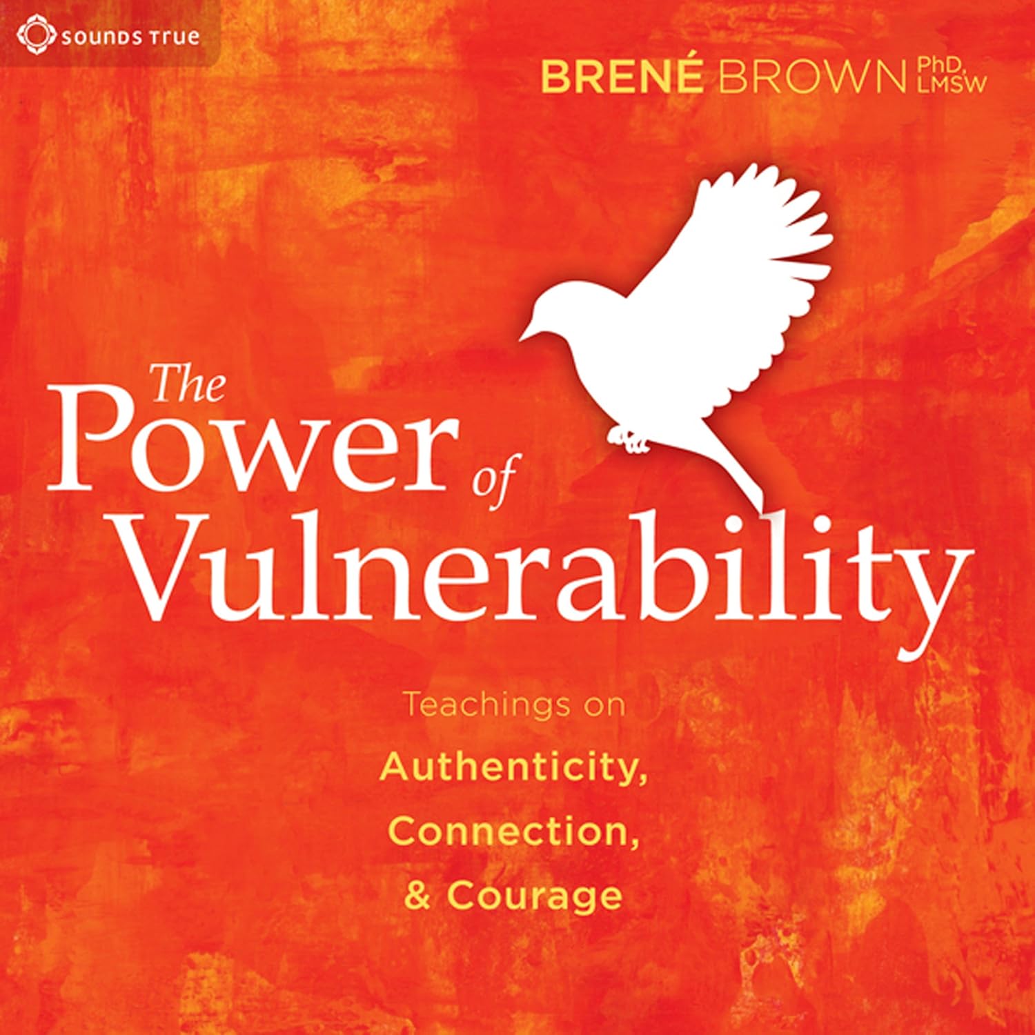 The Power of Vulnerability: Teachings of Authenticity, Connection, and ...